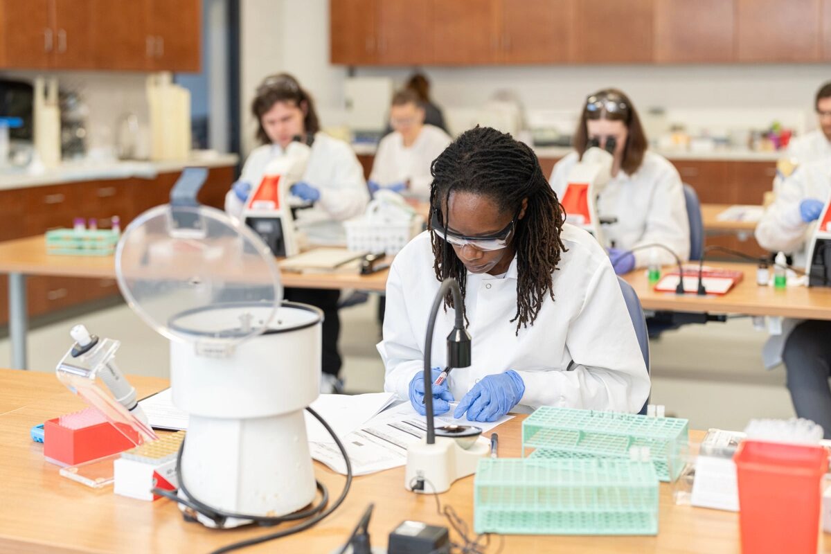 What Is DCL Certificate: Fee Structure And Requirement | Q Links